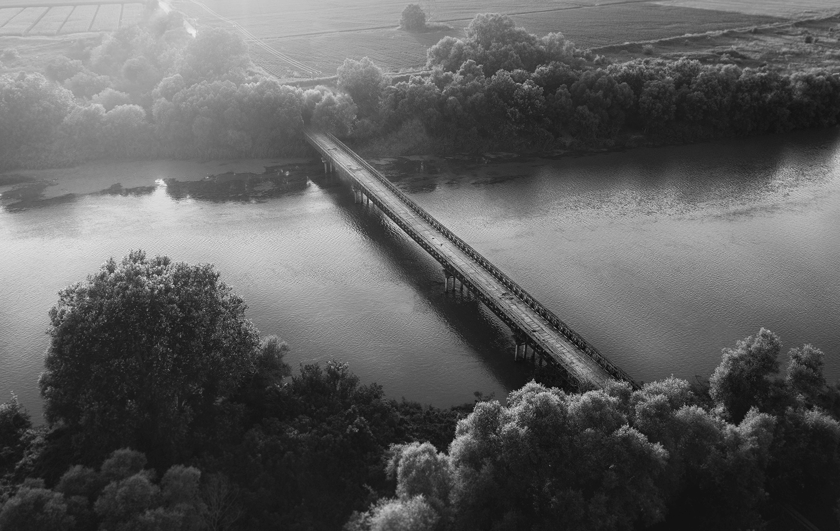 Choosing Invoice Automation Software: What You Need to Know - Snowfox